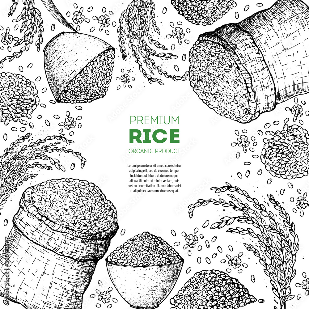 Rice hand drawn vector illustration. Bag of rice sketch. Packaging ...
