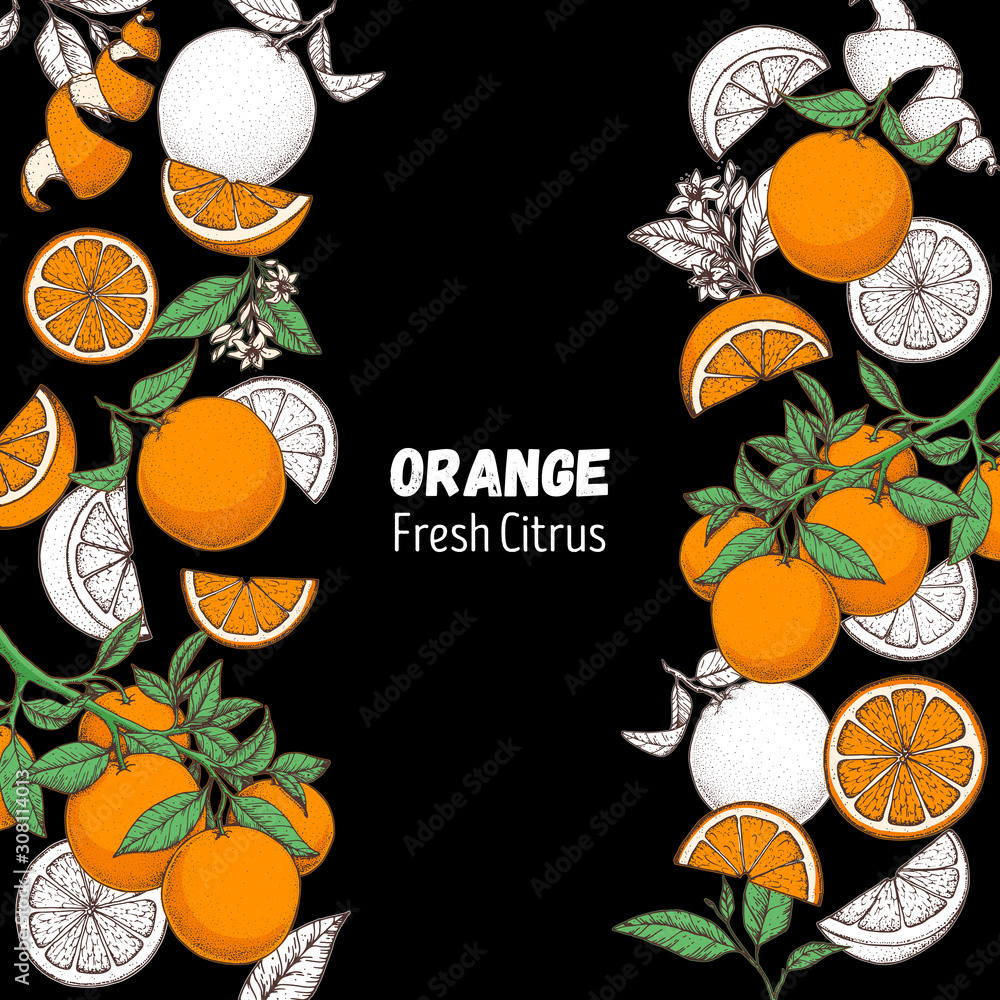 Orange hand drawn illustration.Sketch vector illustration. Orange ...