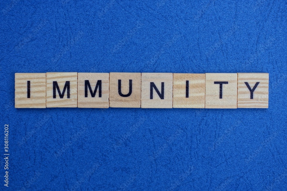 word immunity made from wooden gray letters lies on a blue background ...