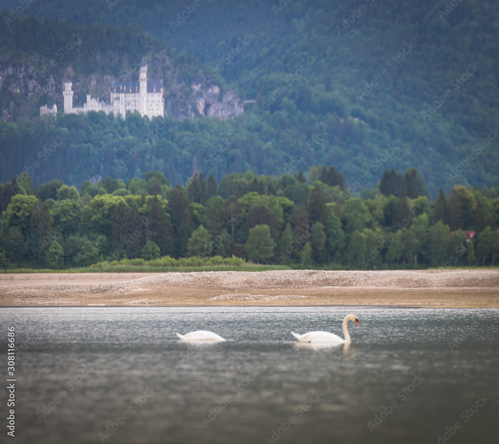 Neuschwanstein Stock Photo | Adobe Stock