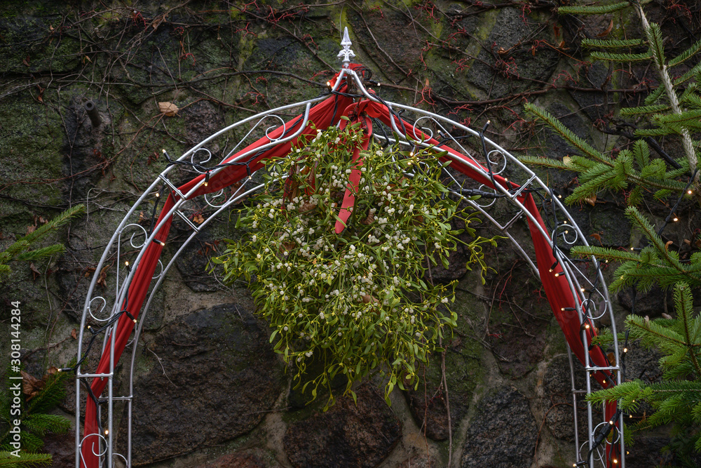 Mistletoe twigs on a metal arch in front of a stone wall, according to ...