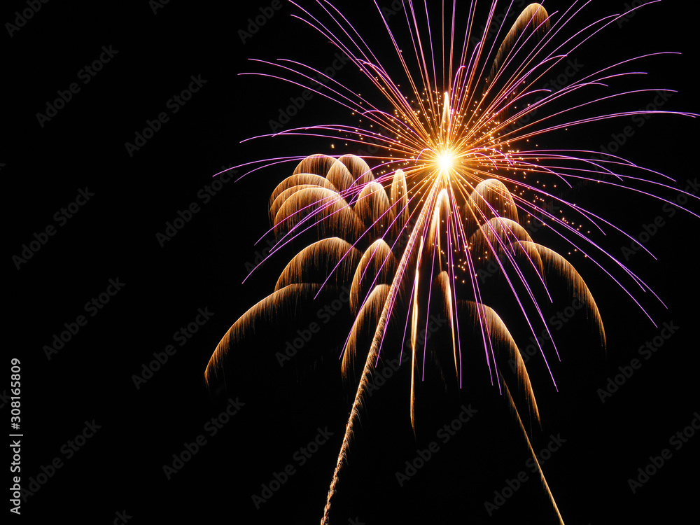 Fireworks in the black night sky Stock Photo | Adobe Stock