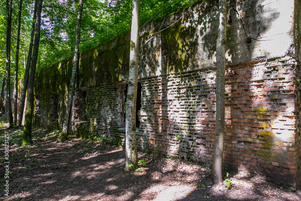 Wolf's Lair was Adolf Hitler's first Eastern Front military ...