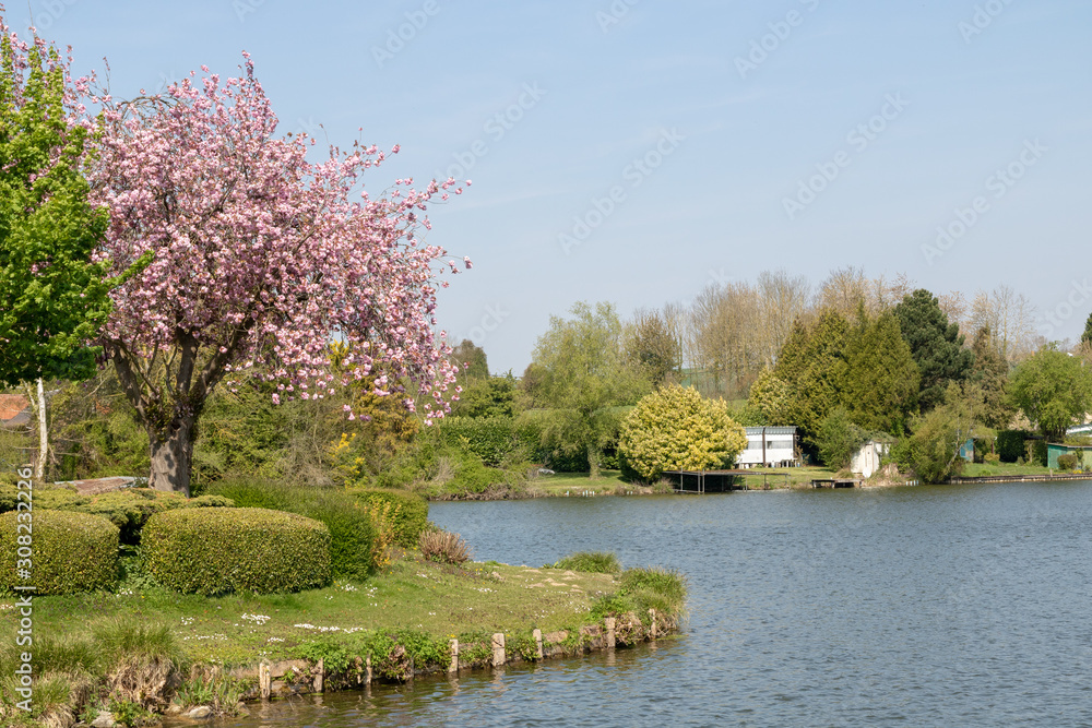 Berges d'un étang à Cappy dans la Somme Stock Photo | Adobe Stock