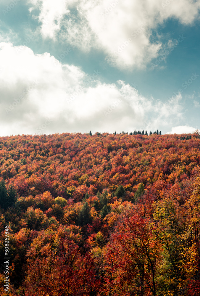 Vertical photo a scenic view of beautiful and colorful hills with blue ...