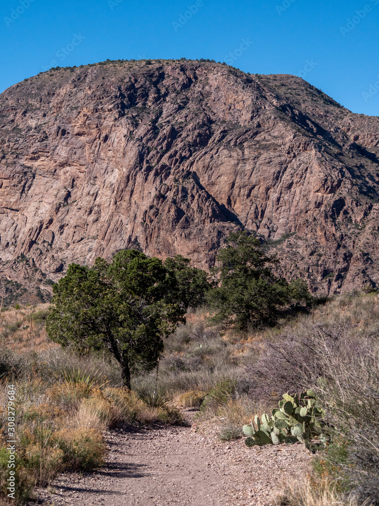 Chisos Basin Window Trail in Big Bend National Park Stock Photo | Adobe ...