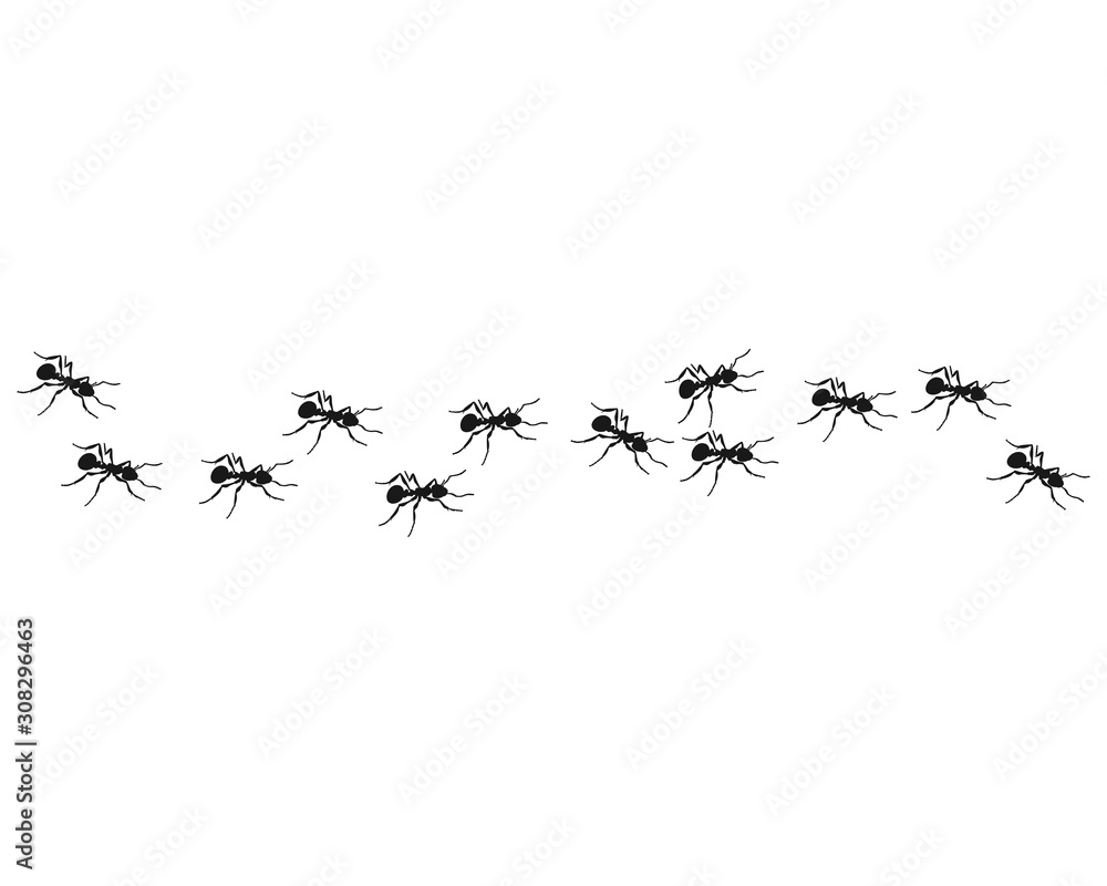 Ants Marching