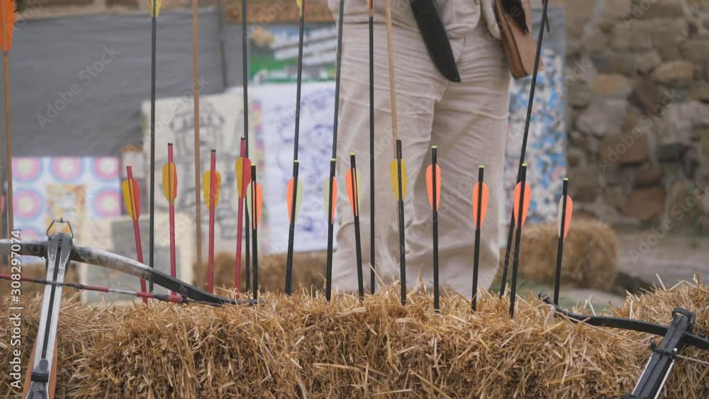 Arrows stuck in the straw. The charges of small arms. ports archery and ...