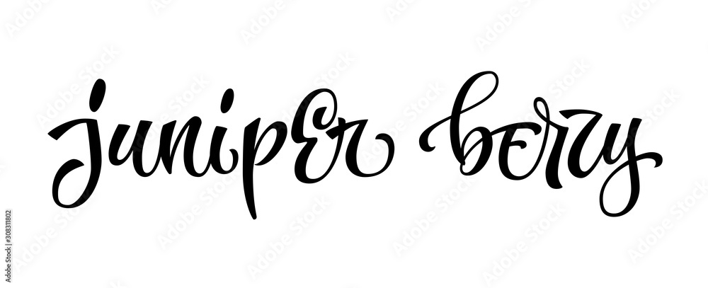Juniper berry - hand drawn spice label. Isolated calligraphy script ...