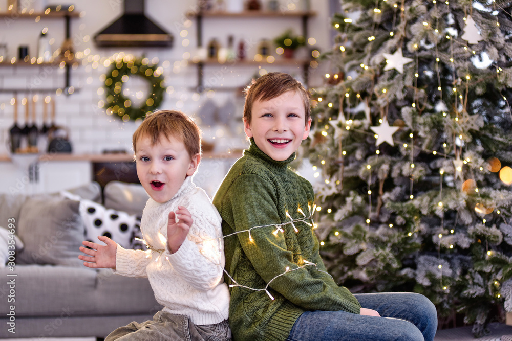 A large portrait of two boys, brothers, who were tied up as a joke by ...