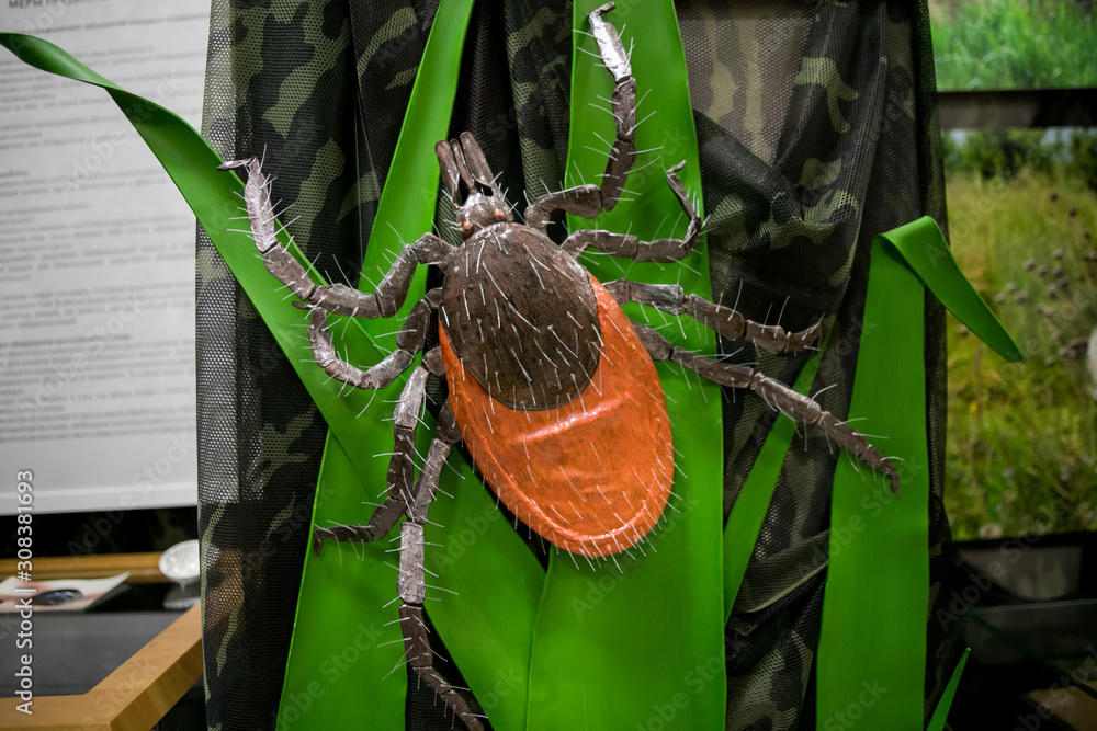 Encephalitis Virus or Lyme Borreliosis Disease or Monkey Fever ...