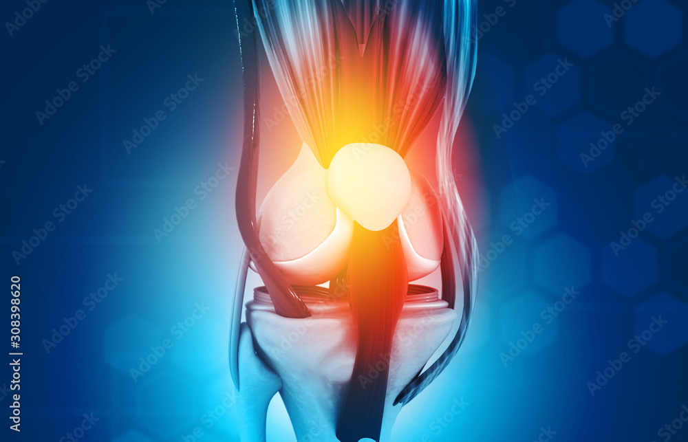 Anatomy of knee joint on medical background. 3d illustration Stock ...