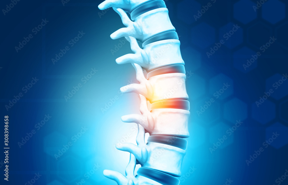 Human spine, vertebrae anatomy on science background. 3d illustration ...