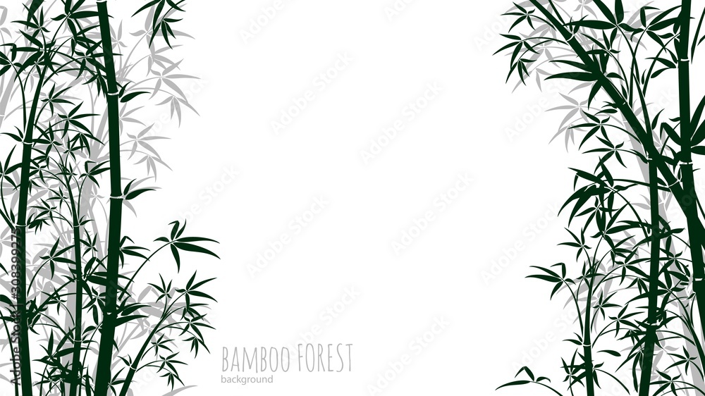 Asian Bamboo Background