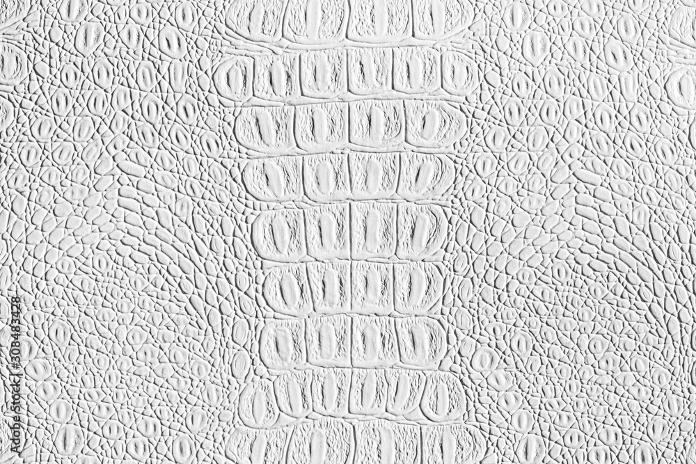 White crocodile leather texture. Abstract background for design with ...