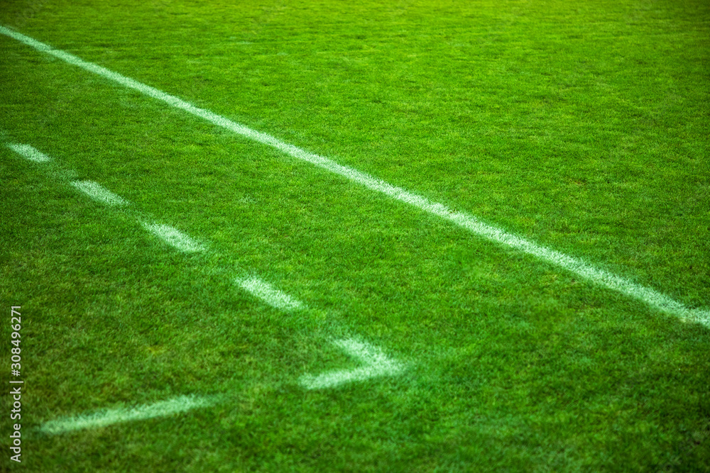 Stadium. Football field. Soccer field covered with green grass ...
