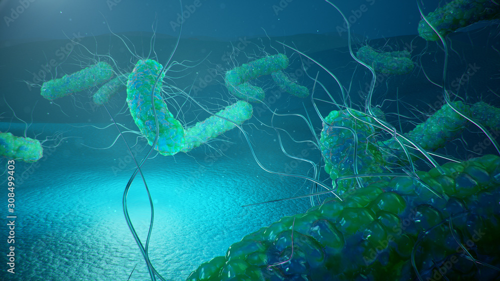 Viruses causing infectious diseases, decreased immunity. Concept of ...