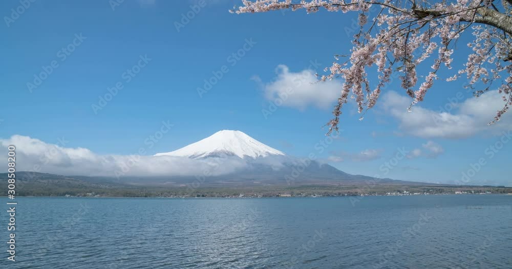 Fuji Mountain with snow capped, blue sky and beautiful pink Sakura ...