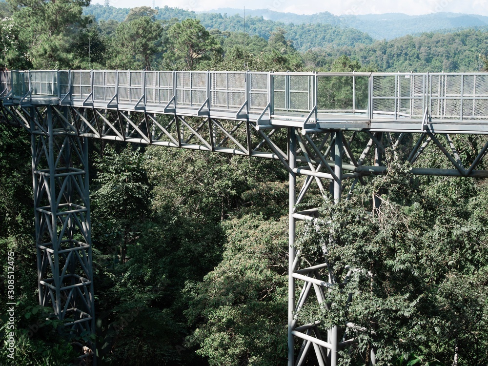 Canopy walkway . Sky Bridge. Entrance steel structure walkway on tall ...