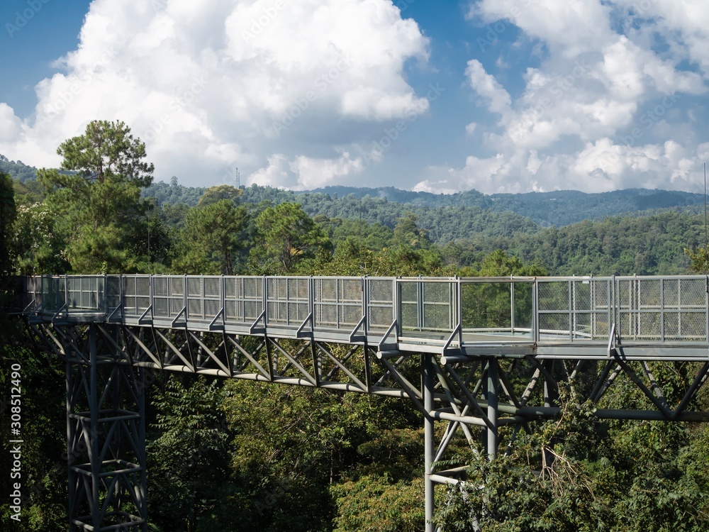 Canopy walkway . Sky Bridge. Entrance steel structure walkway on tall ...