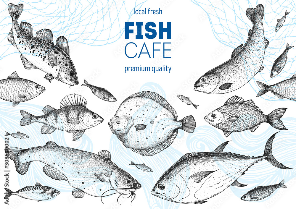 Fish sketch collection. Hand drawn vector illustration. Seafood frame ...