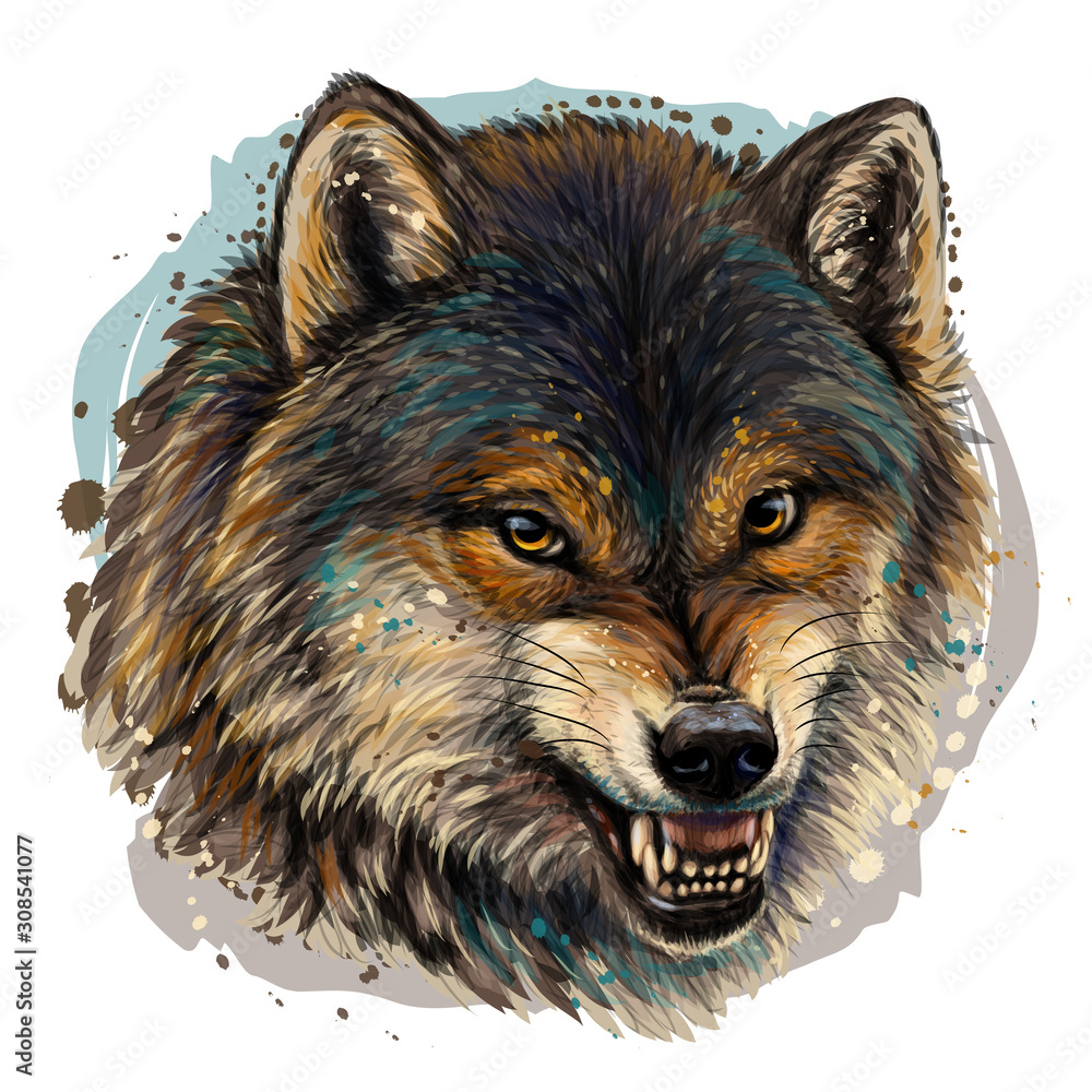 Angry wolf. Sketchy, graphical, color portrait of a wolf head on a ...