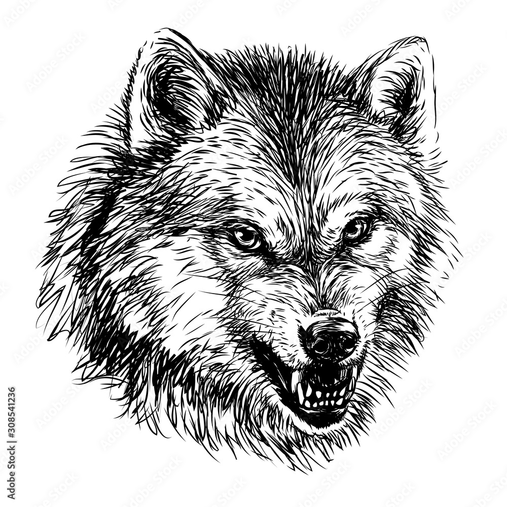 How To Draw An Angry Wolf Head