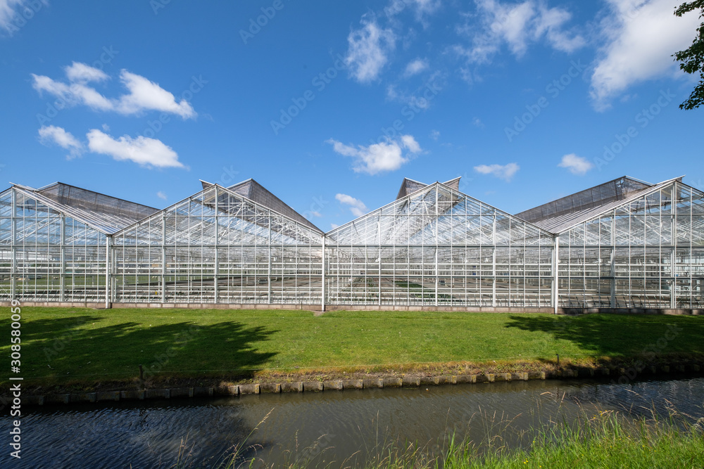Frontal view of a commercial glass greenhouse in Westland in the ...