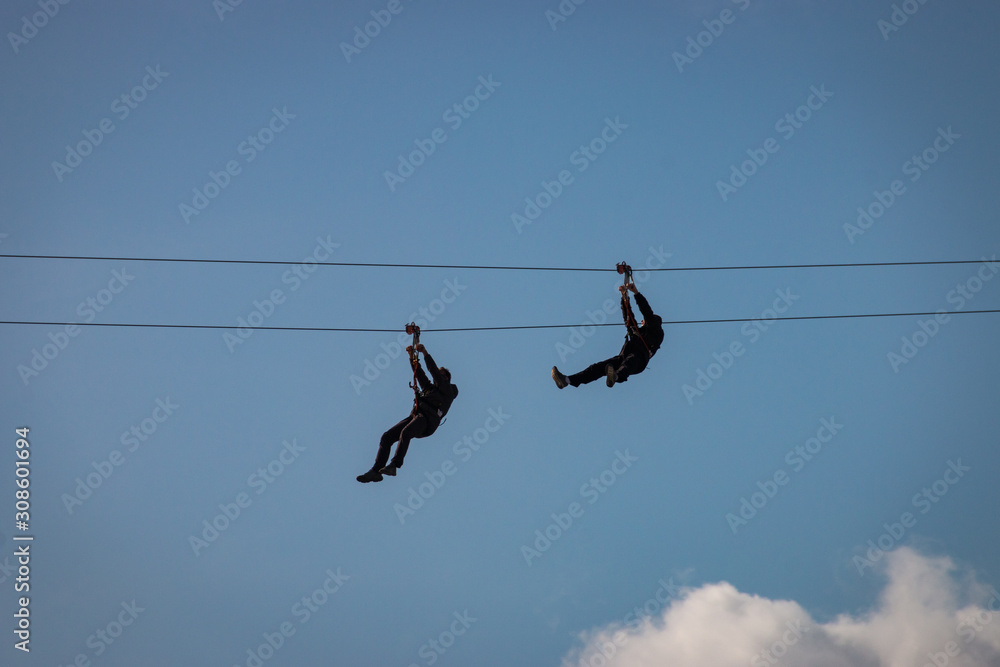 Poster People having fun using a zip line . – Wall Art | UkPosters