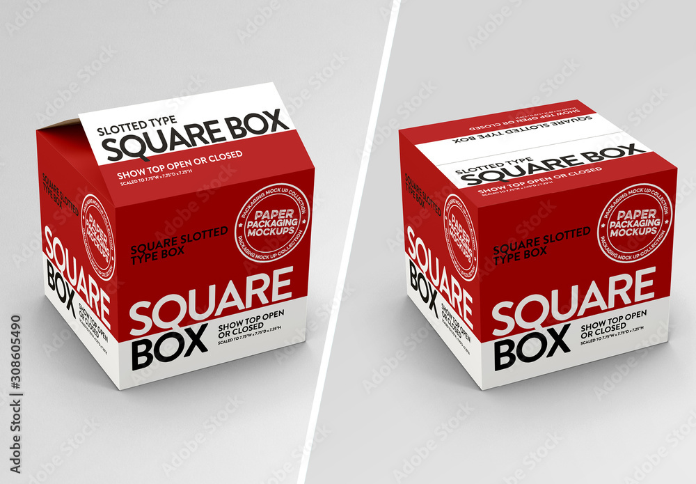 2 Square Paper Boxes Mockup Stock Template | Adobe Stock