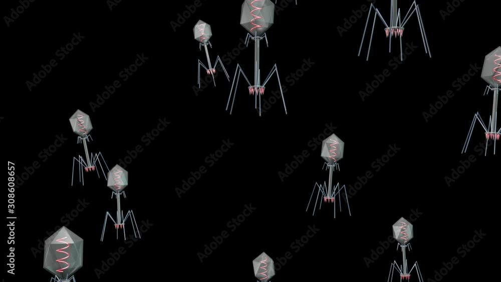 Phage therapy. Viruses swarming. Hundreds of bacteriophages reproducing ...