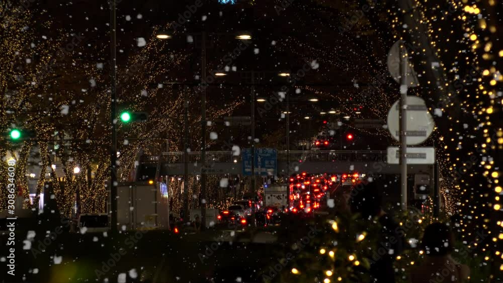 TOKYO, JAPAN - DECEMBER 2019 : Christmas illumination and snow at ...