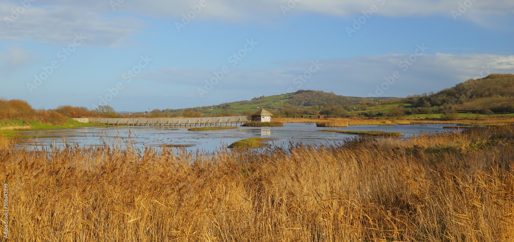 Black Hole Marsh in Seaton Wetlands nature reserve, Devon Stock Photo ...