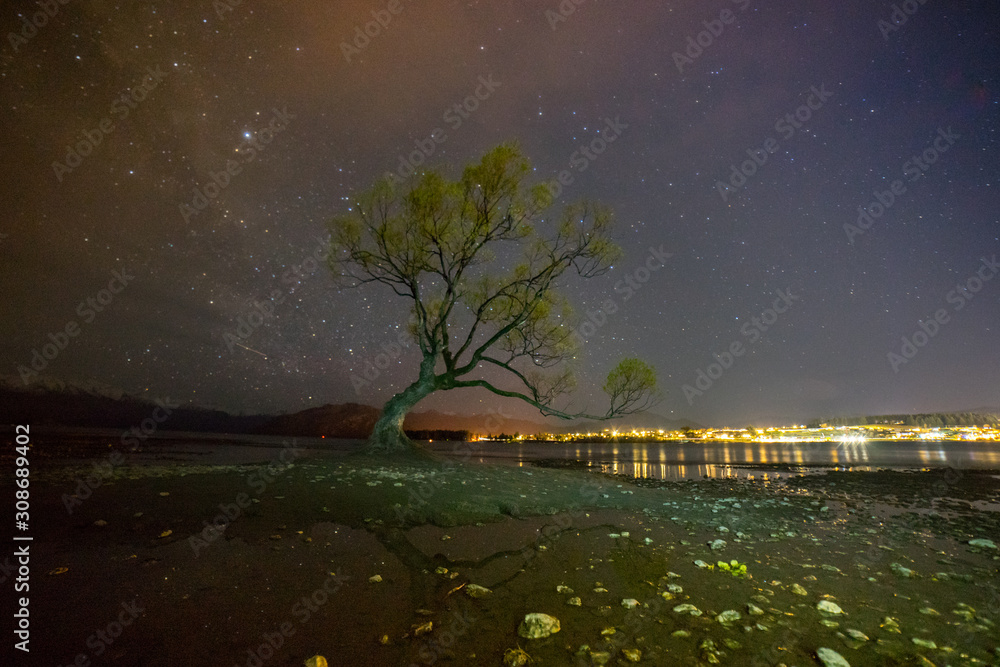 Famous Wanaka Tree with Wanaka town in background during night.Huge ...