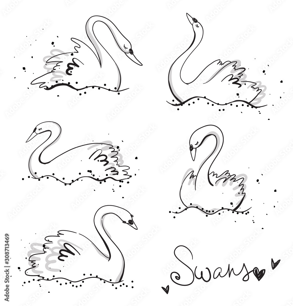 Set of hand drawn swans, line art, vector illustration Stock Vector ...