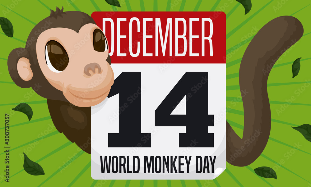 Primate behind Calendar for World Monkey Day Celebration in December ...