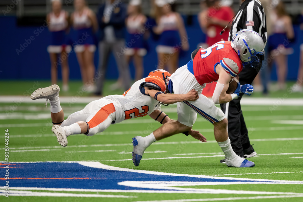 Great action photos of football players making amazing plays during a ...