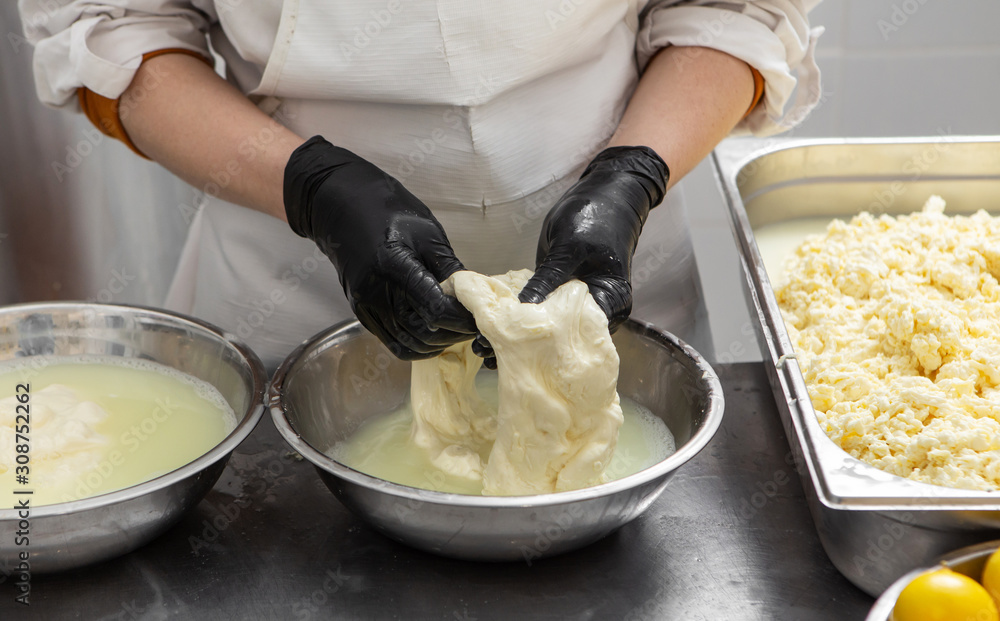 Italian hard cheese silano or caciocavallo in cheesemaker hands. The ...