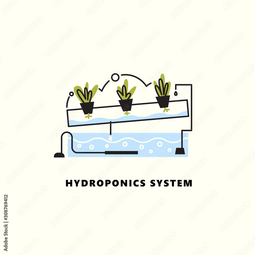 Hydroponics system. Vector illustration in outline style. Stock Vector ...