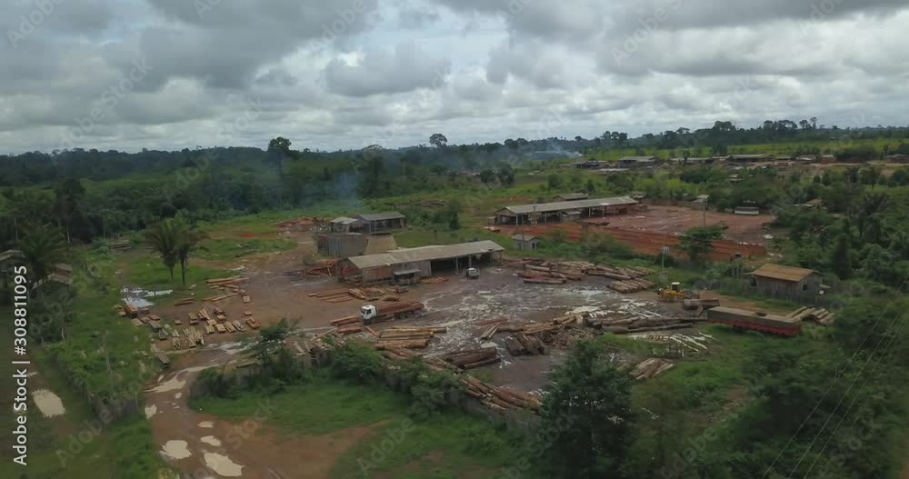 Logging in Santo Antônio do Matupi is one of the main causes of ...