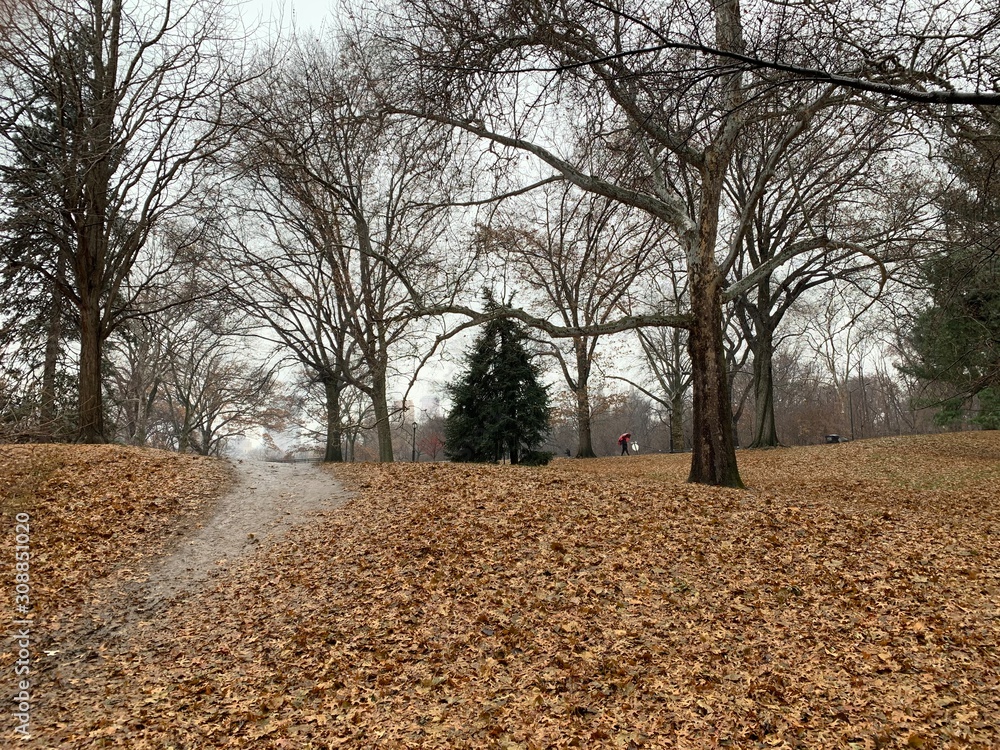 Fotografia do Stock: See the lawns, fountains, waterfalls and other ...