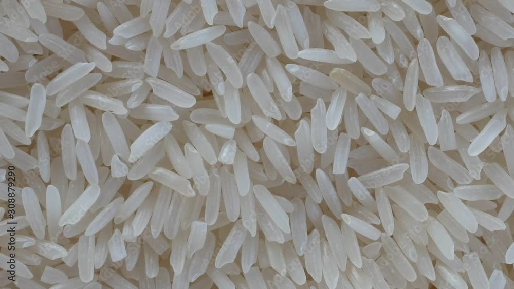 Rice is a grain that the world population consumes as an important food ...