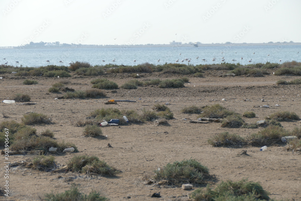 Plastic waste and pollution affects Hawar Islands, Bahrain in the ...