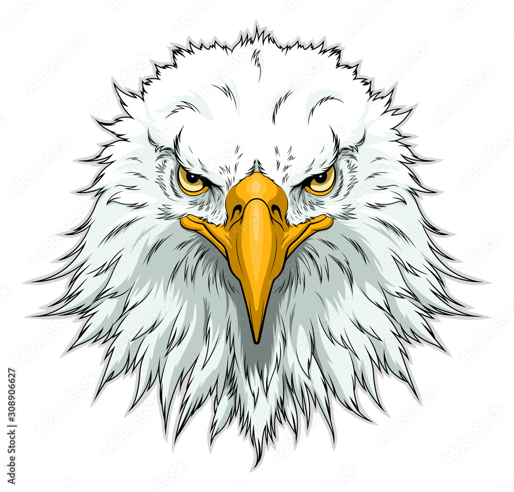 Bald eagle head front Stock Vector | Adobe Stock