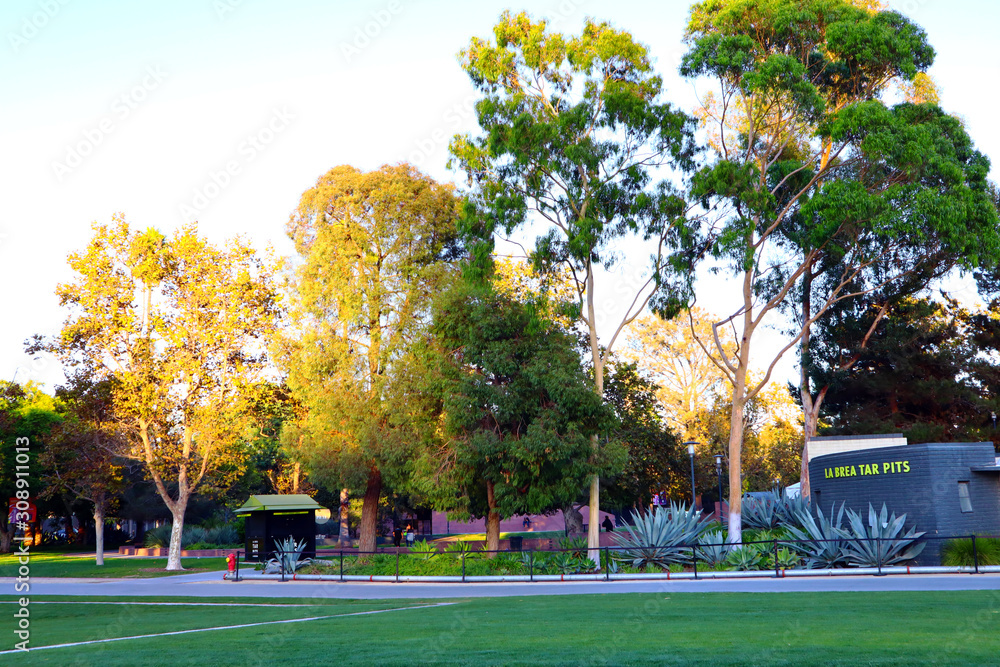 Los Angeles, California – October 2, 2019: LA BREA TAR PITS & Museum ...