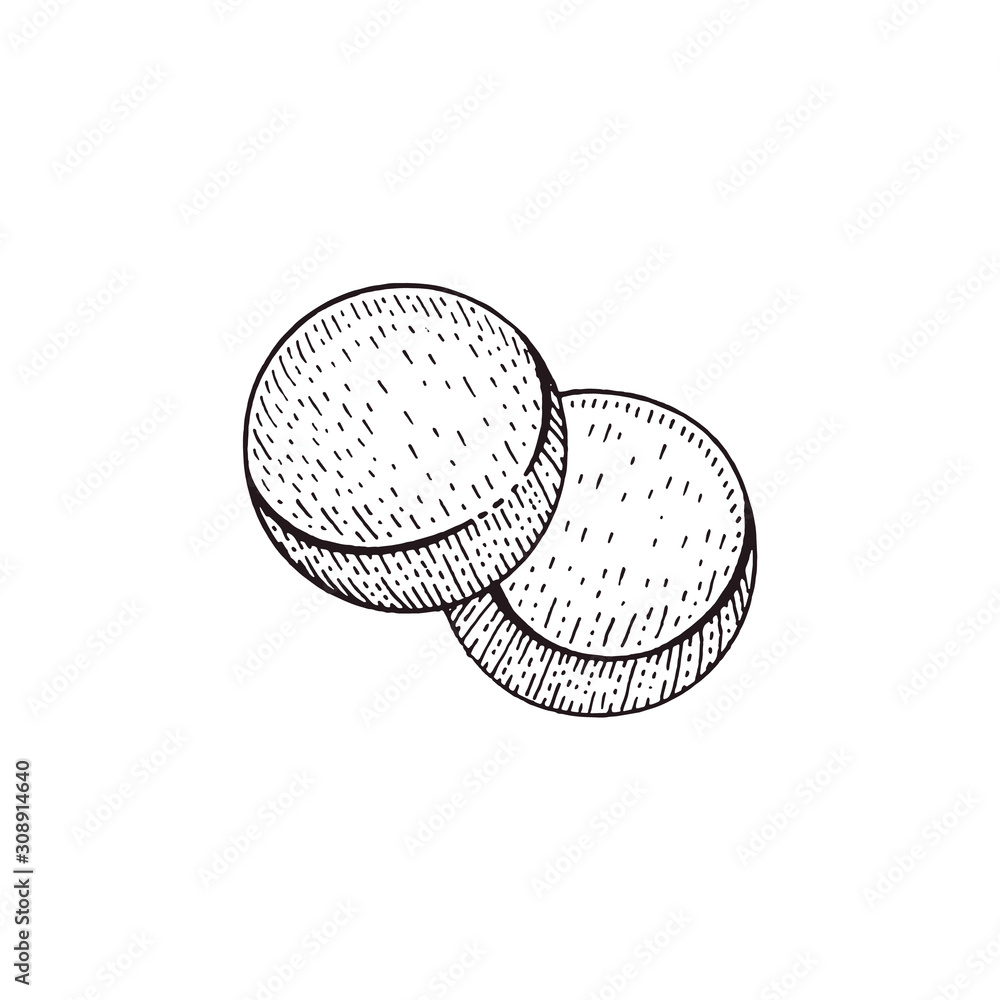 Pill tablet, sketch medical icon. Round pill, hand drawn tablet vector ...