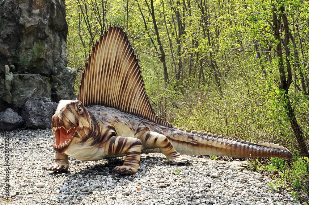 Foto de Model of Dimetrodon Dinosaur with Open Mouth do Stock | Adobe Stock