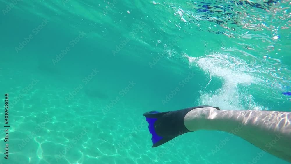 Underwater footage of Man legs with fins swimming in the sea Stock ...