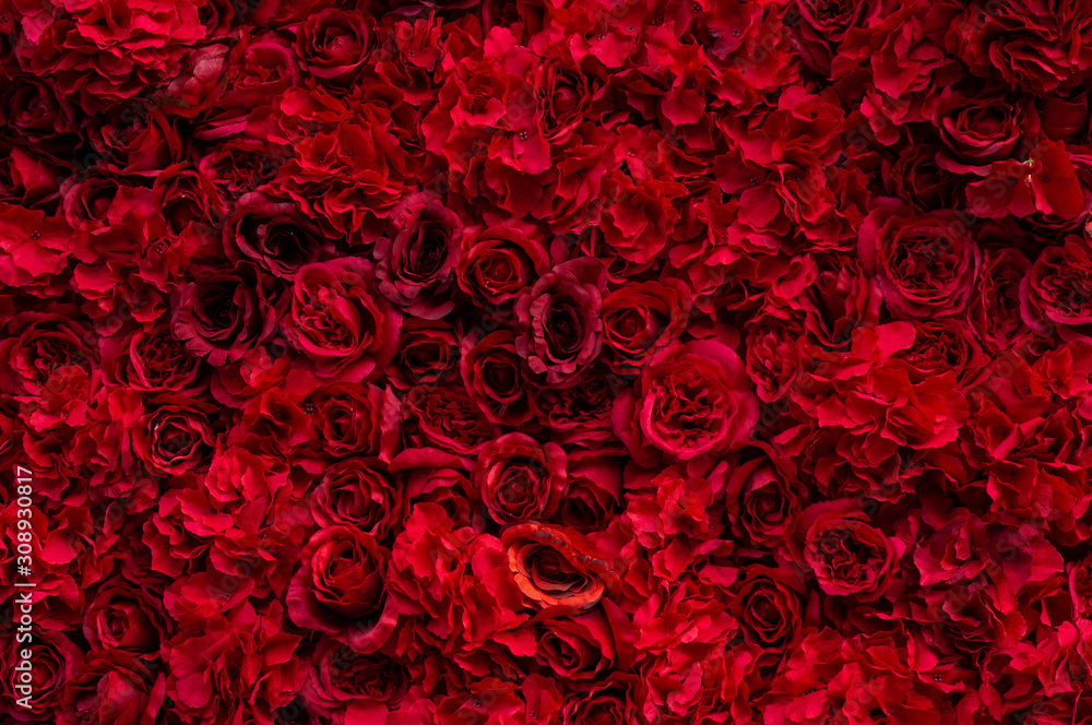 Beautiful background with red roses. Background for the holiday for ...