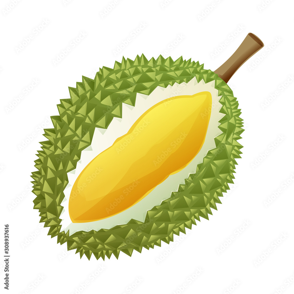 Durian Cartoon
